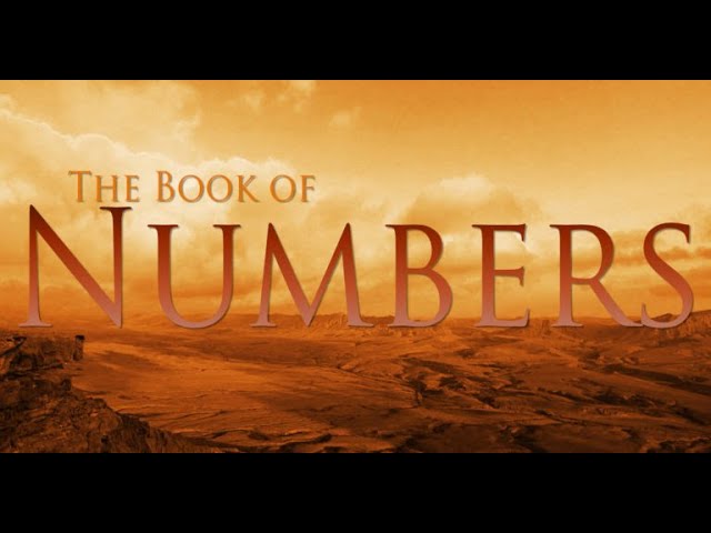 Numbers Chapter 2; Organizing the tribes of Israel – Xclaimed Video Hub